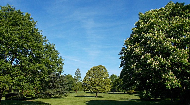 Cheam: Where is Cheam, North Cheam & Cheam Village | ShineRocks