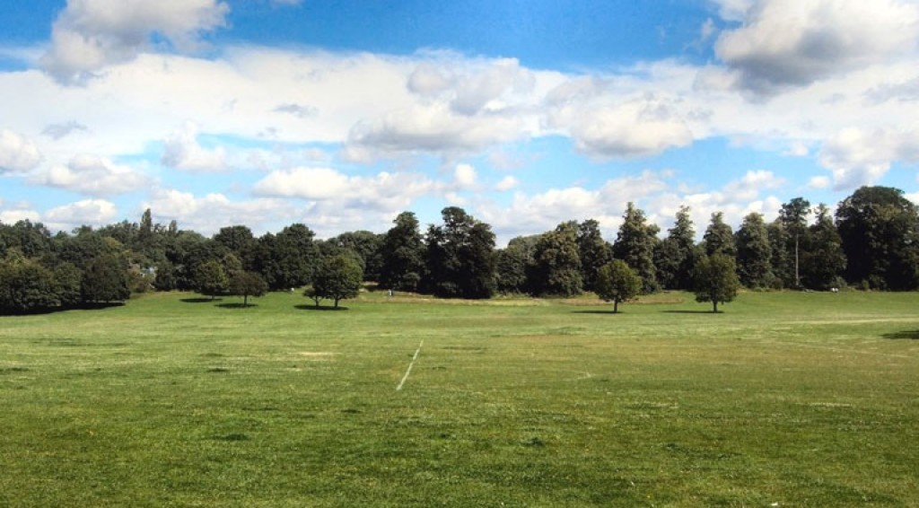 South Croydon - an introduction | ShineRocks