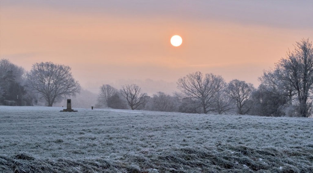 Exploring Purley: A Stroll Through Serenity | ShineRocks