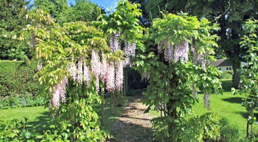 The Webb Estate Purley South London | ShineRocks