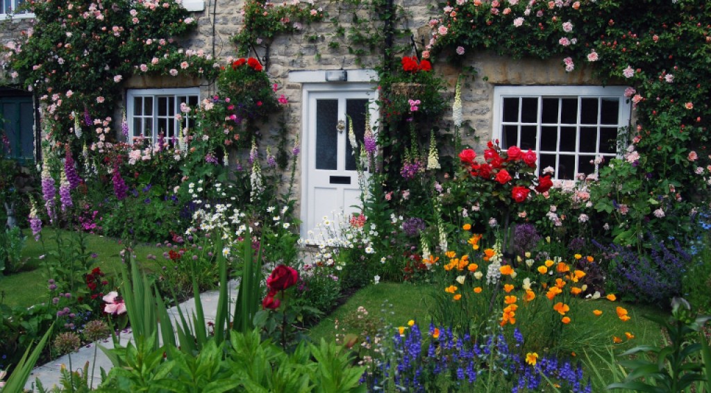 Maximising Kerb Appeal: 5 Easy Home Exterior Tips To Boost The Market ...