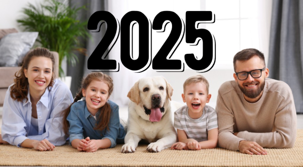 2025: The Perfect Year to Buy Property? | ShineRocks