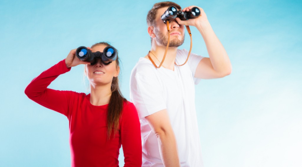 Watch Out, Watch Out, There’s a Shinerock About! | ShineRocks